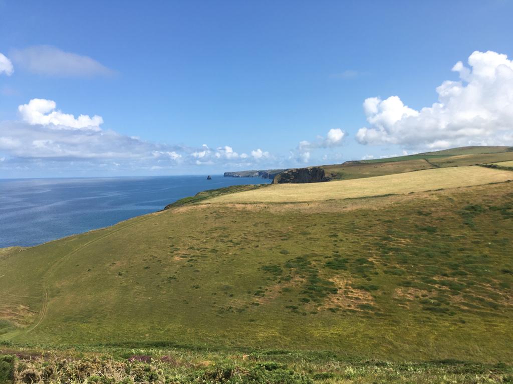 Upcoming Events - TASTE